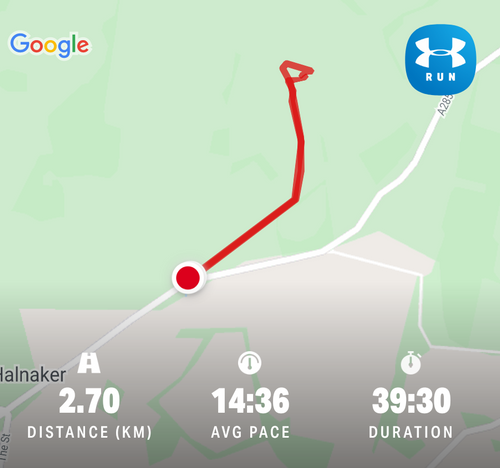 Dog Walk at Halnaker Windmill