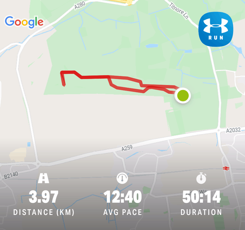 Dog Walk at Highdown Hill