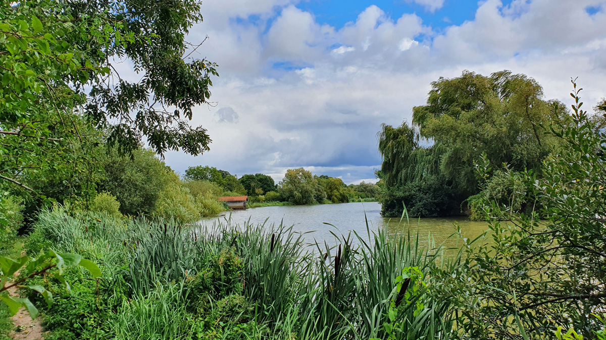 Dog Walk at Lordings Lock