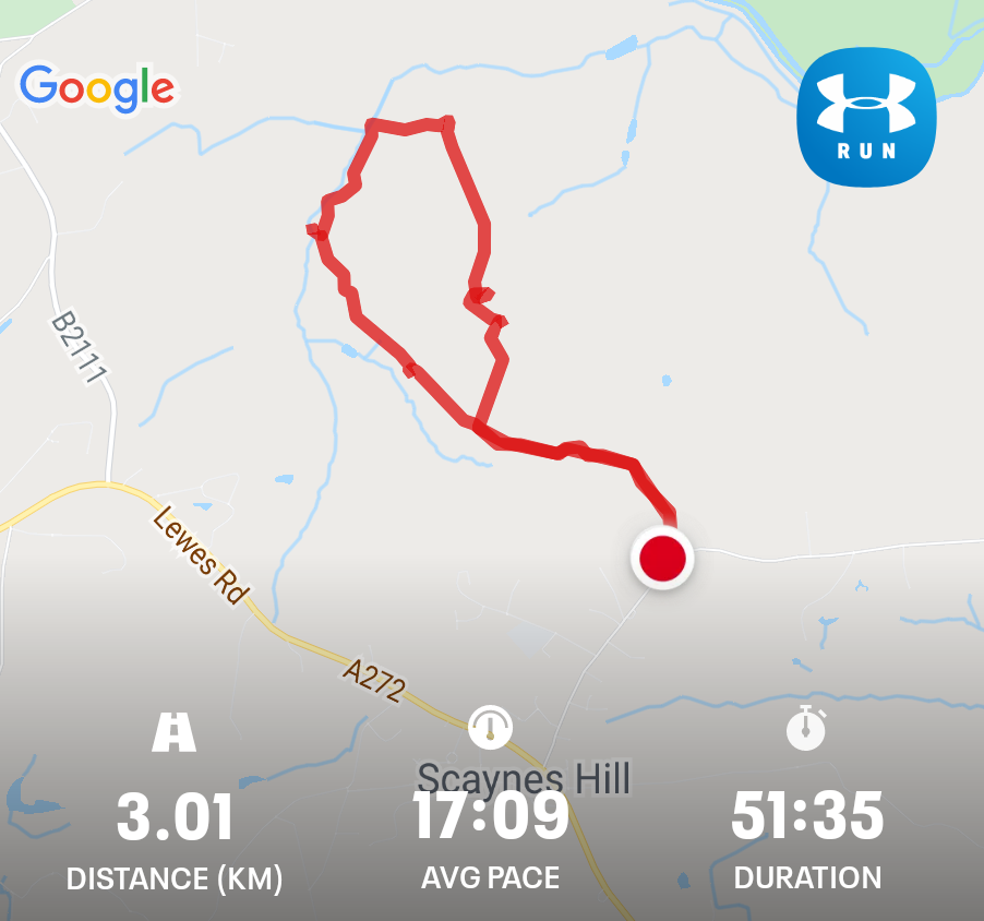 Dog Walk at Henfield Woods