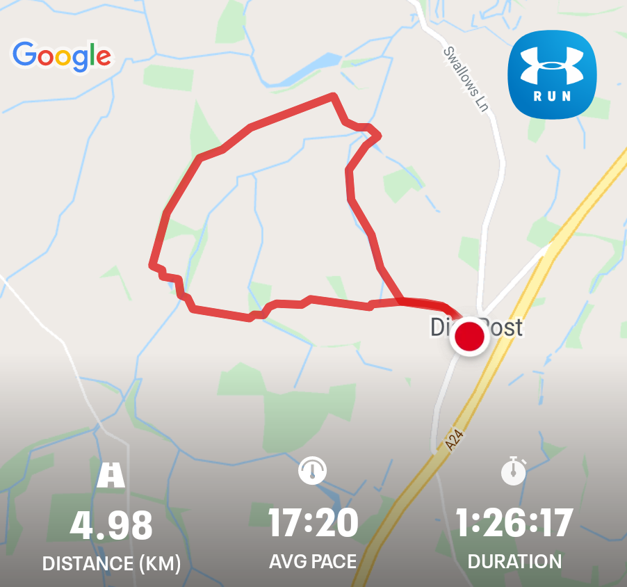 Dog Walk at Knepp Wildlands