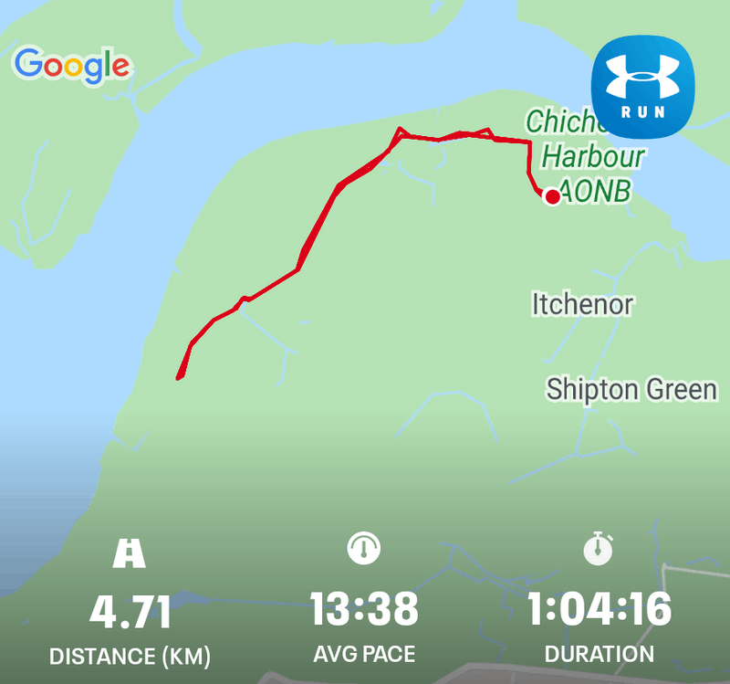 Dog Walk at Itchenor, Chalkdock Marsh