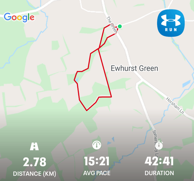 Dog Walk at Ewhurst Green