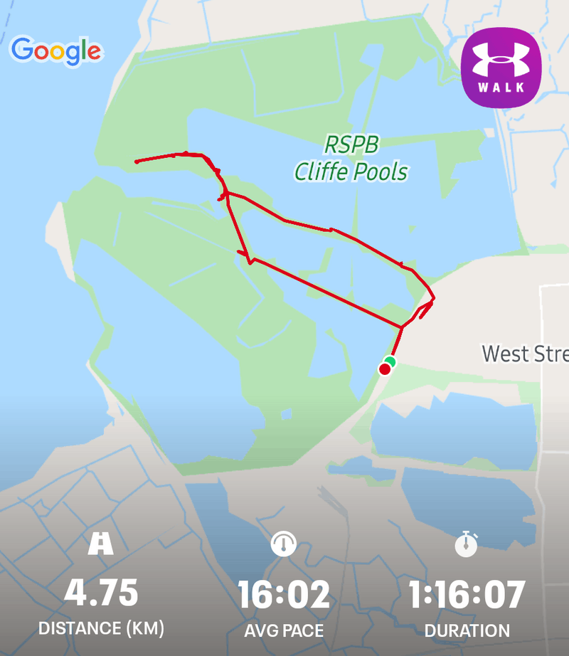 Dog Walk at RSPB Cliffe Pools