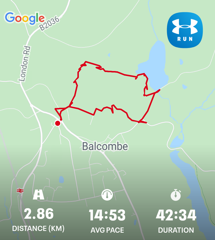 Dog Walk at Balcombe Lake