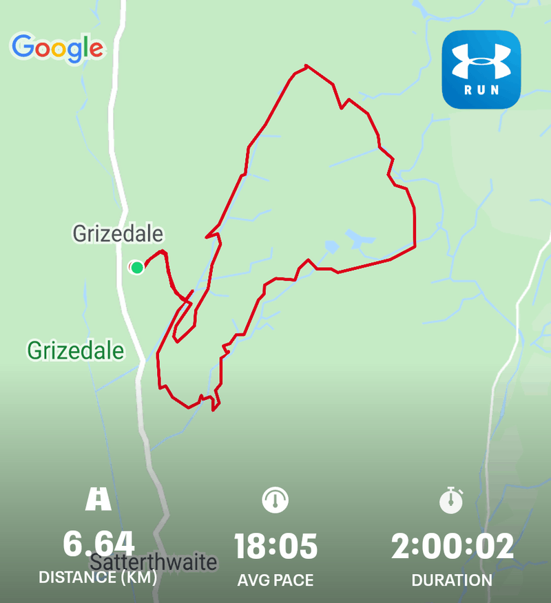 Dog Walk at Grizedale Forest Walk – Grizedale Tarn Walk (white route)