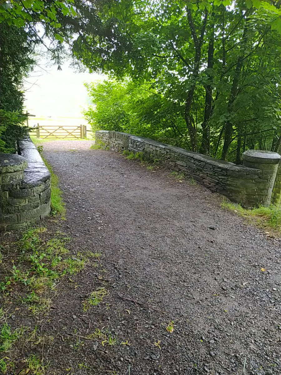 Dog Walk at Coniston Loop