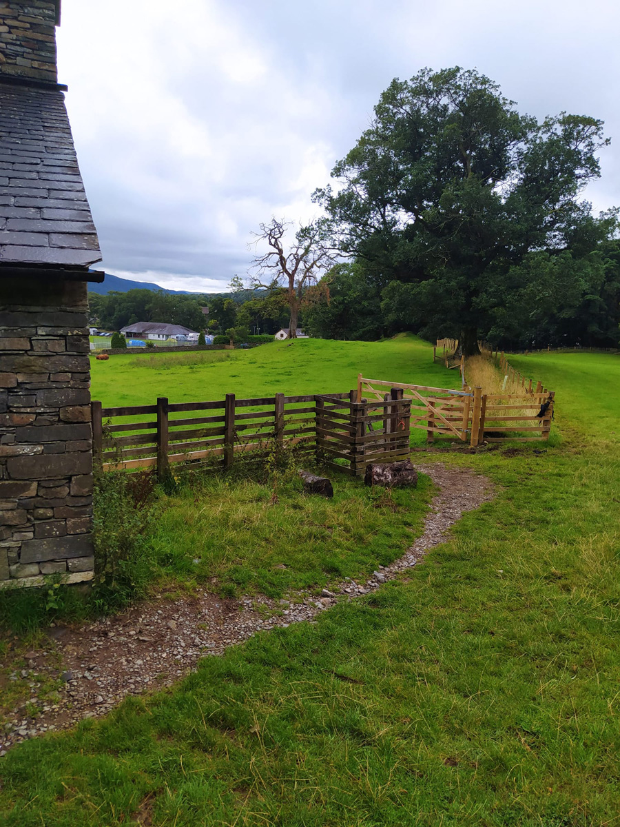 Dog Walk at Coniston Loop