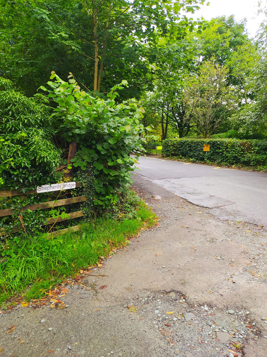Dog Walk at Coniston Loop