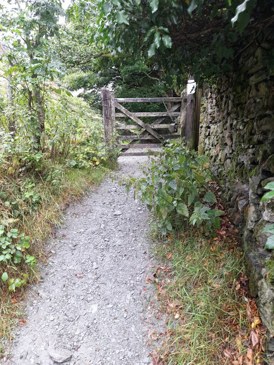 Dog Walk at Coniston Loop
