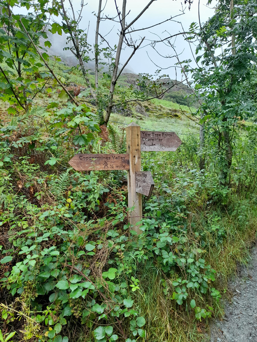 Dog Walk at Coniston Loop