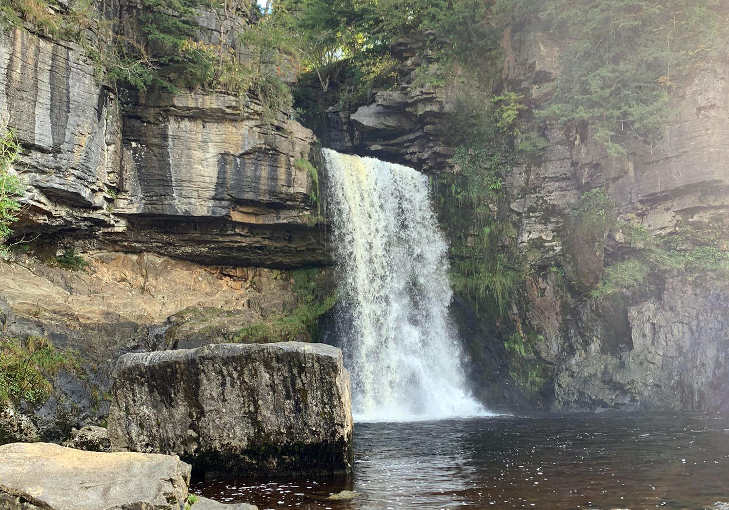 Dog Walk at Ingleton Waterfall Trail