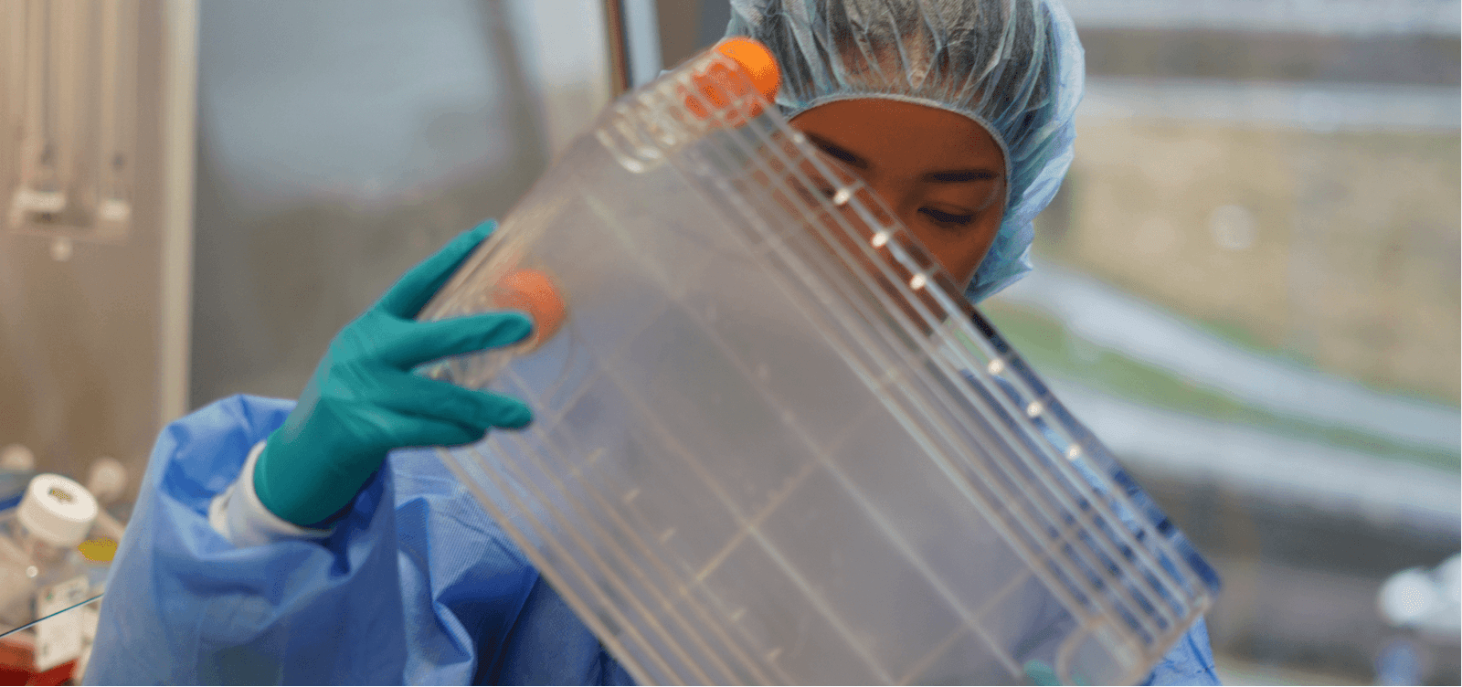 ClexBio | Engineering Human Tissue Transplants