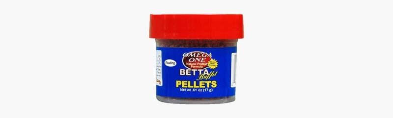 How much and how often to feed your betta fish — Bettaboxx