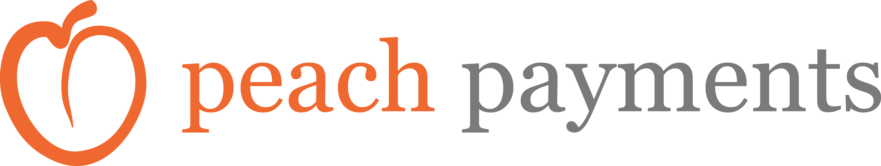 The Best Payment Gateways In South Africa | Honey Whale | Honey Ledger