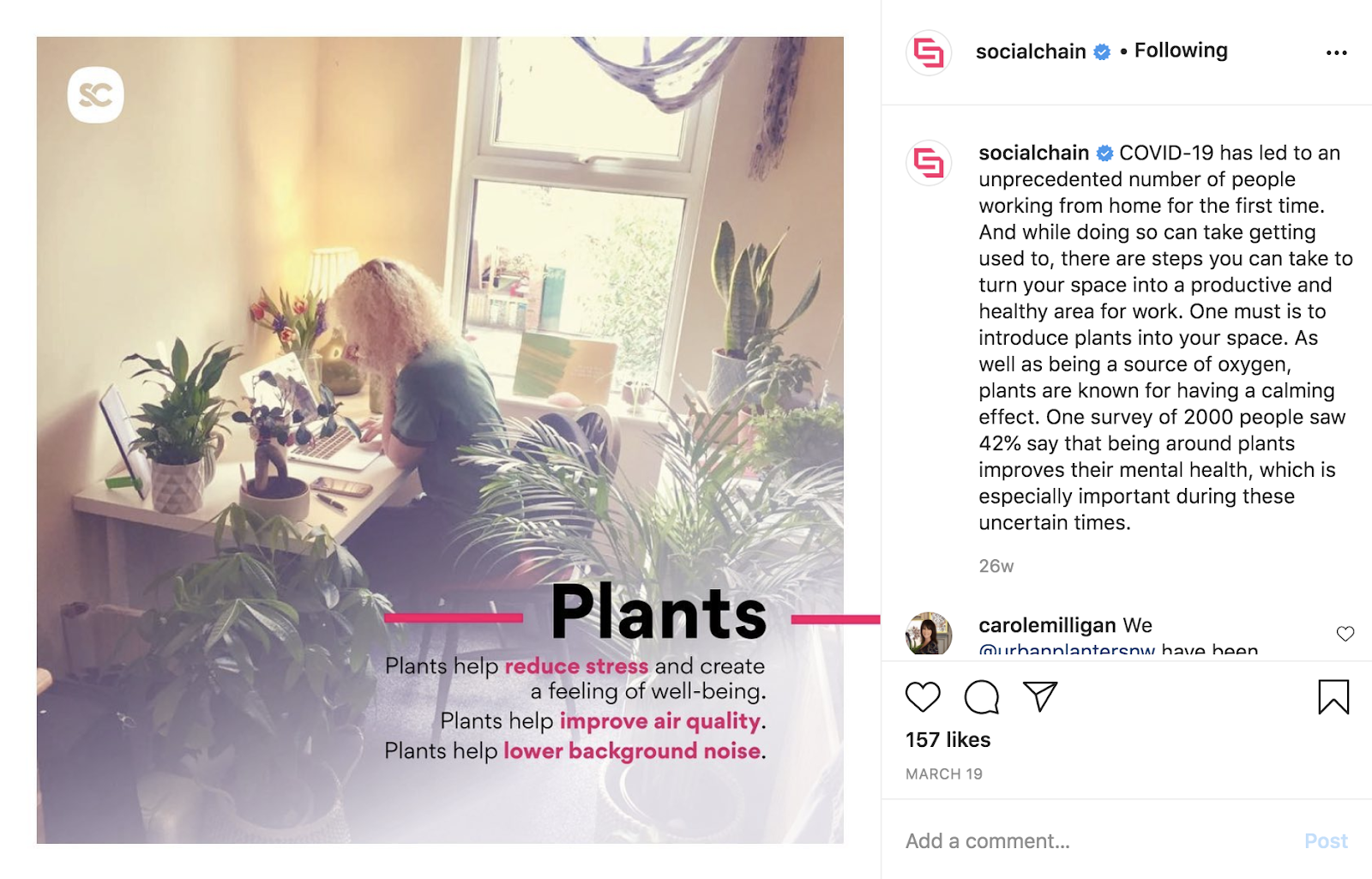 Short-Form vs. Long-Form Content: When And How To Use Each | Honey ...