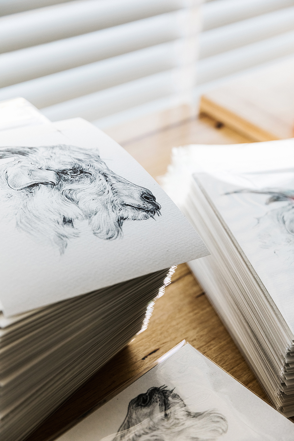 Hound & Bone. For artists chasing the perfect print.