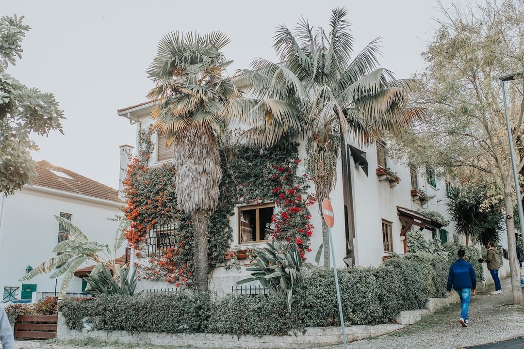 Beato, Lisbon, Portugal: Guide & Reviews