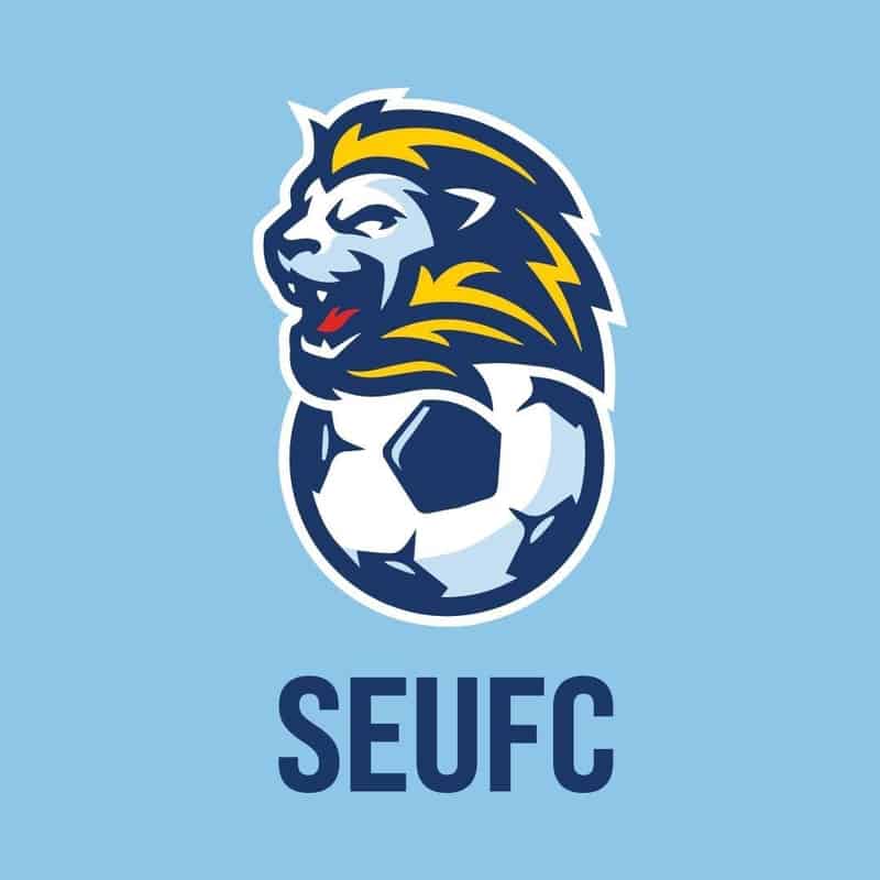 Pigeon Football Australia | Footballs. Mental Health.