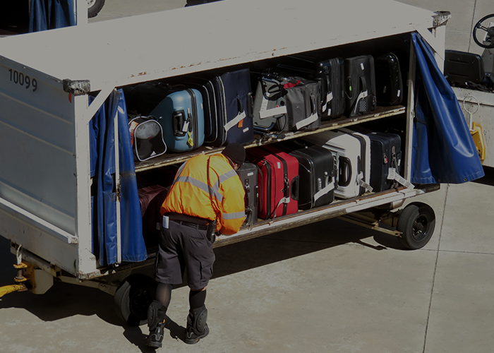 Case Studies | Optimism