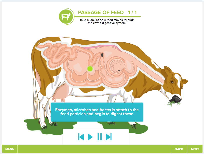 Case Study | DairyNZ