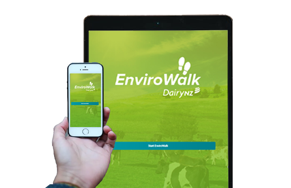 Case Study | DairyNZ