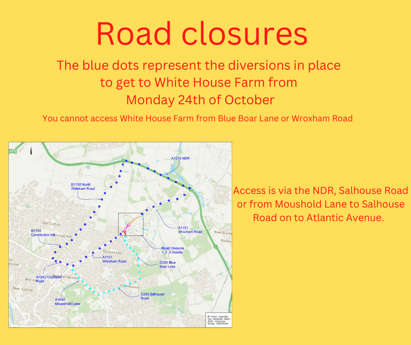 Dotty Pottery - Pottery Painting in Norwich