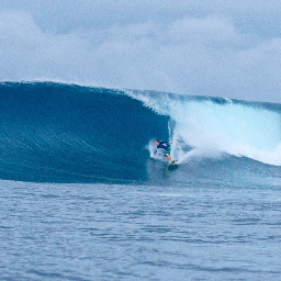 Joe Wilson - Webflow