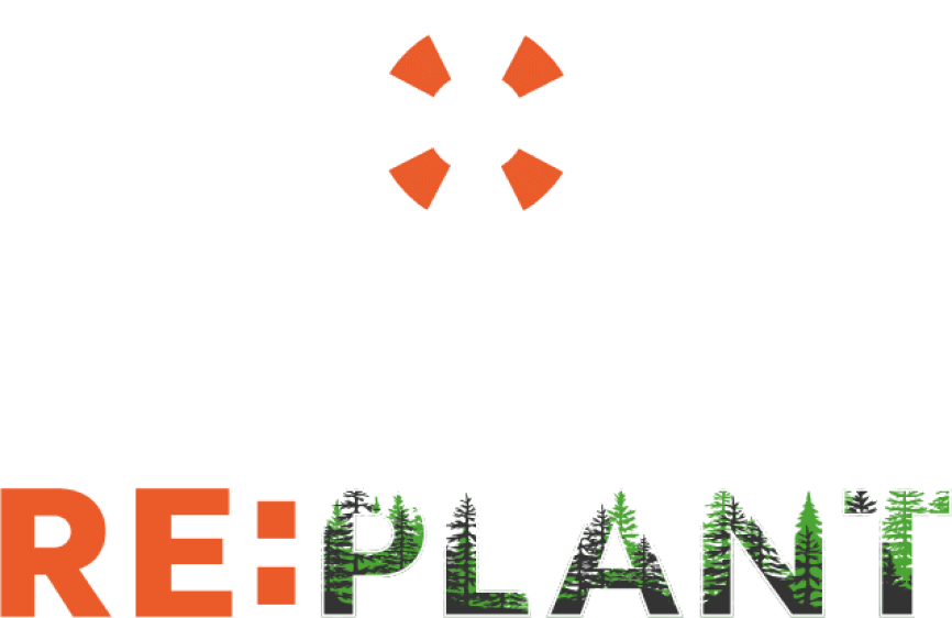 Launch | Church Multiplication Catalyst