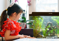 How to Choose Aquariums for Kids - ONEdersave blog | EcoBio-Block Makes ...