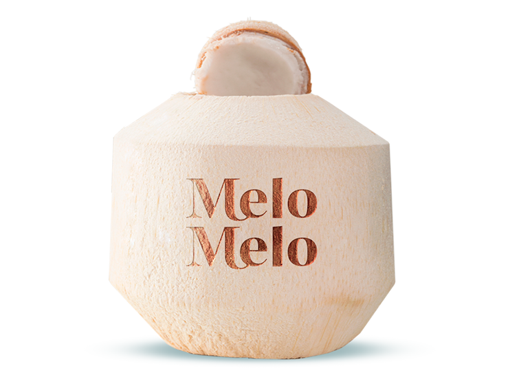 MeloMelo Coconut Dessert • Naturally Delicious