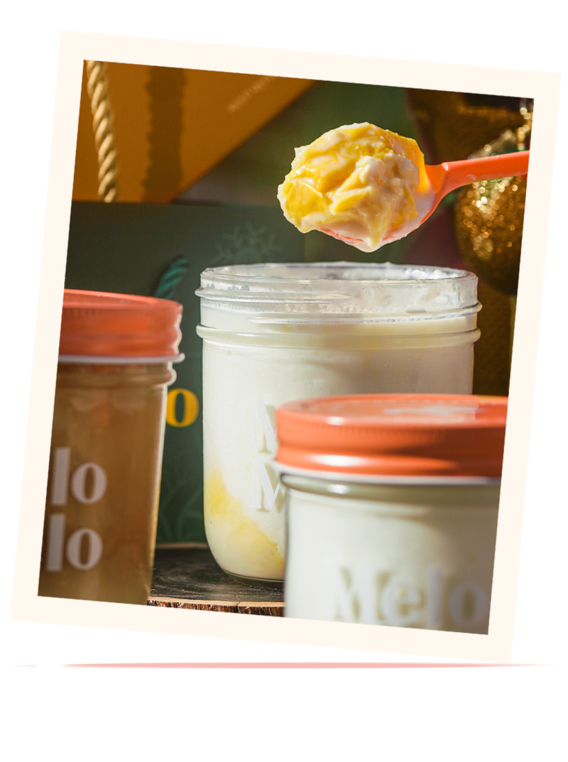MeloMelo Coconut Dessert • Naturally Delicious