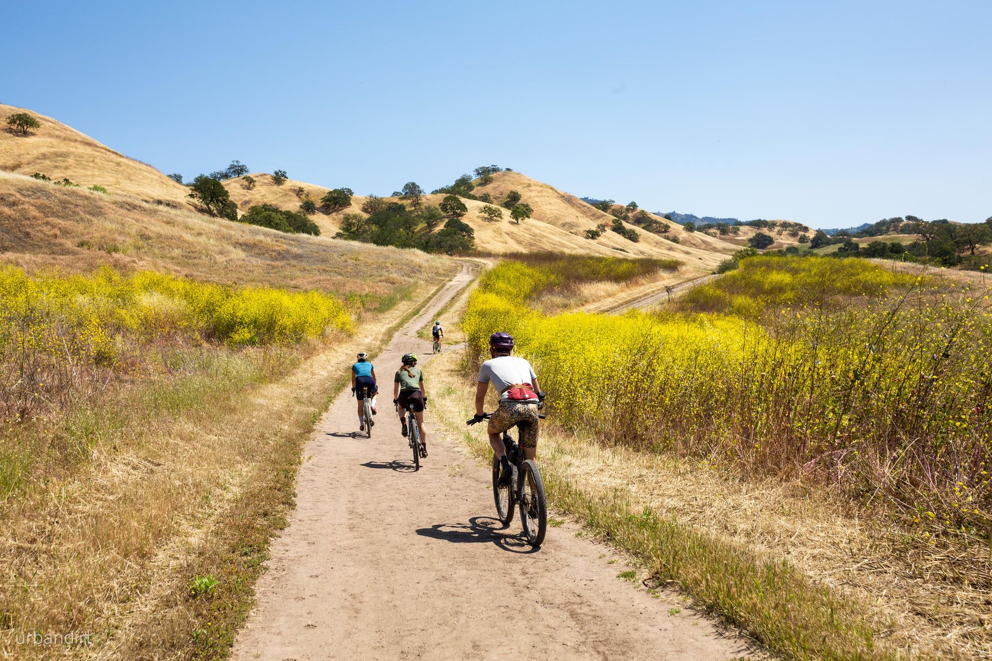 Bay Area bicycle route - turtle stroll