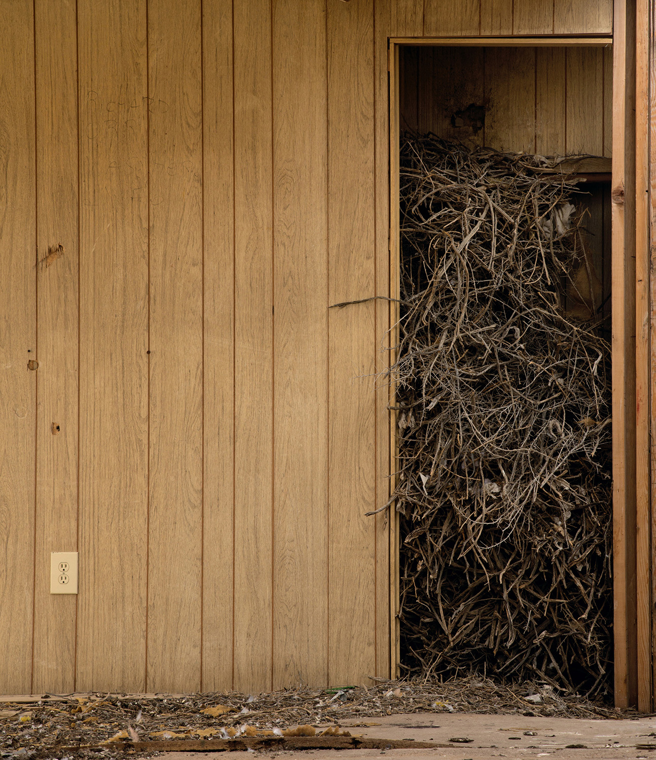 Fatal Flaw - Mike Callaghan