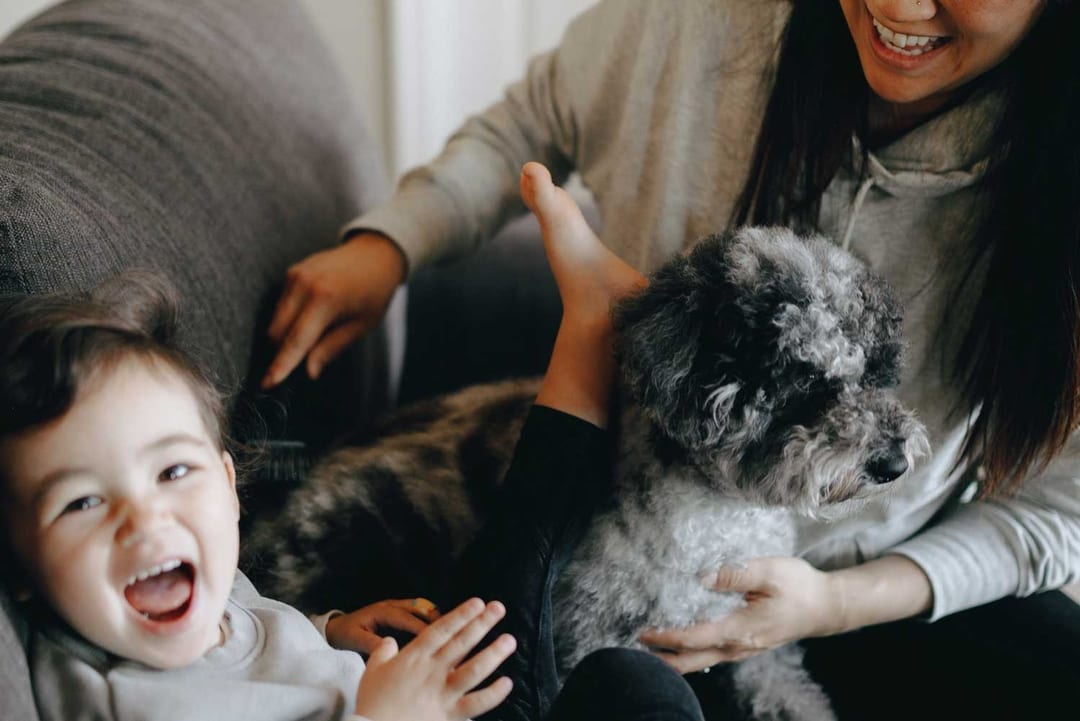 Emotional Support Animal (ESA) Letter for North Carolina | Pettable