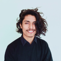 Palash Rajput - Webflow