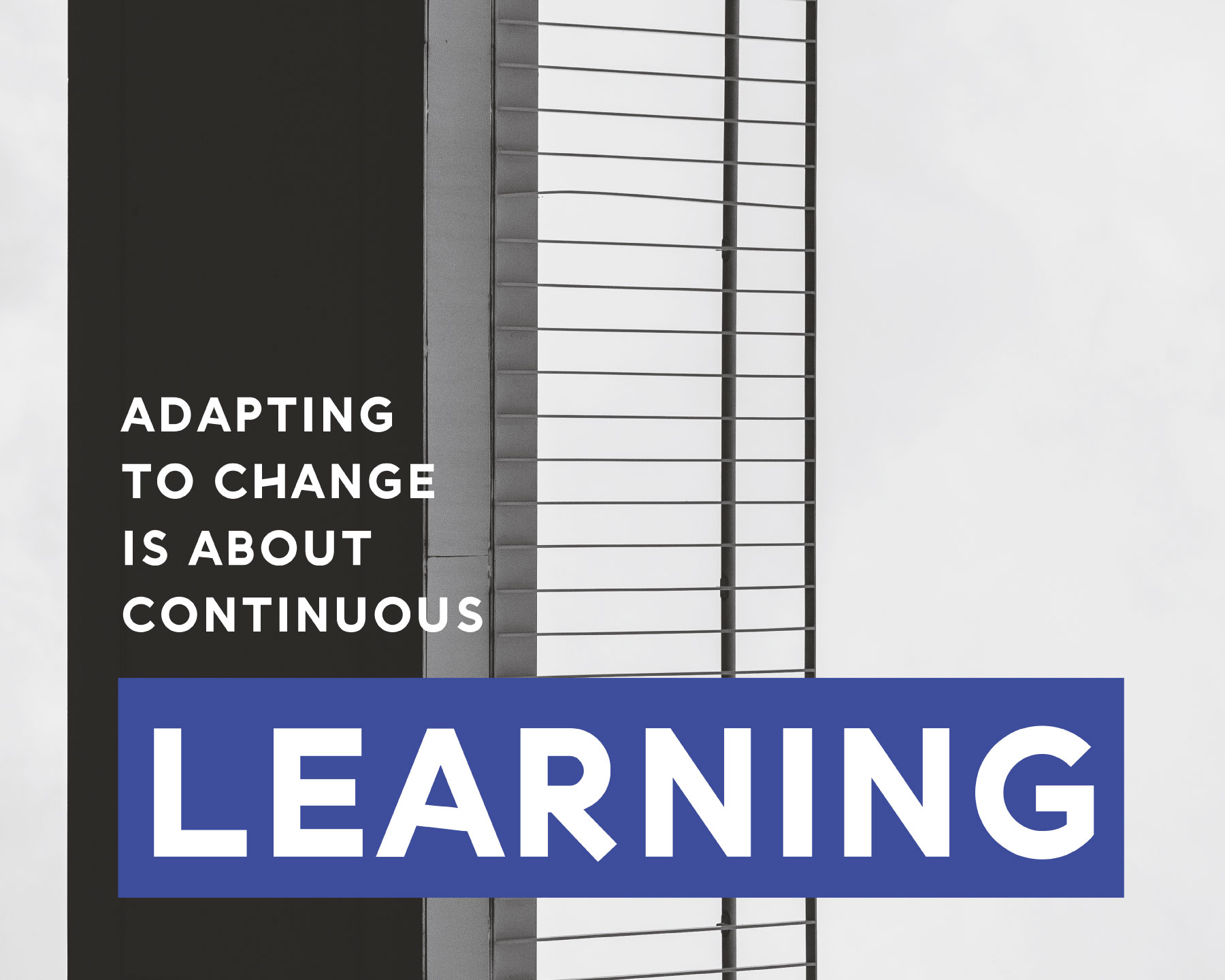 About Us - Progreso X