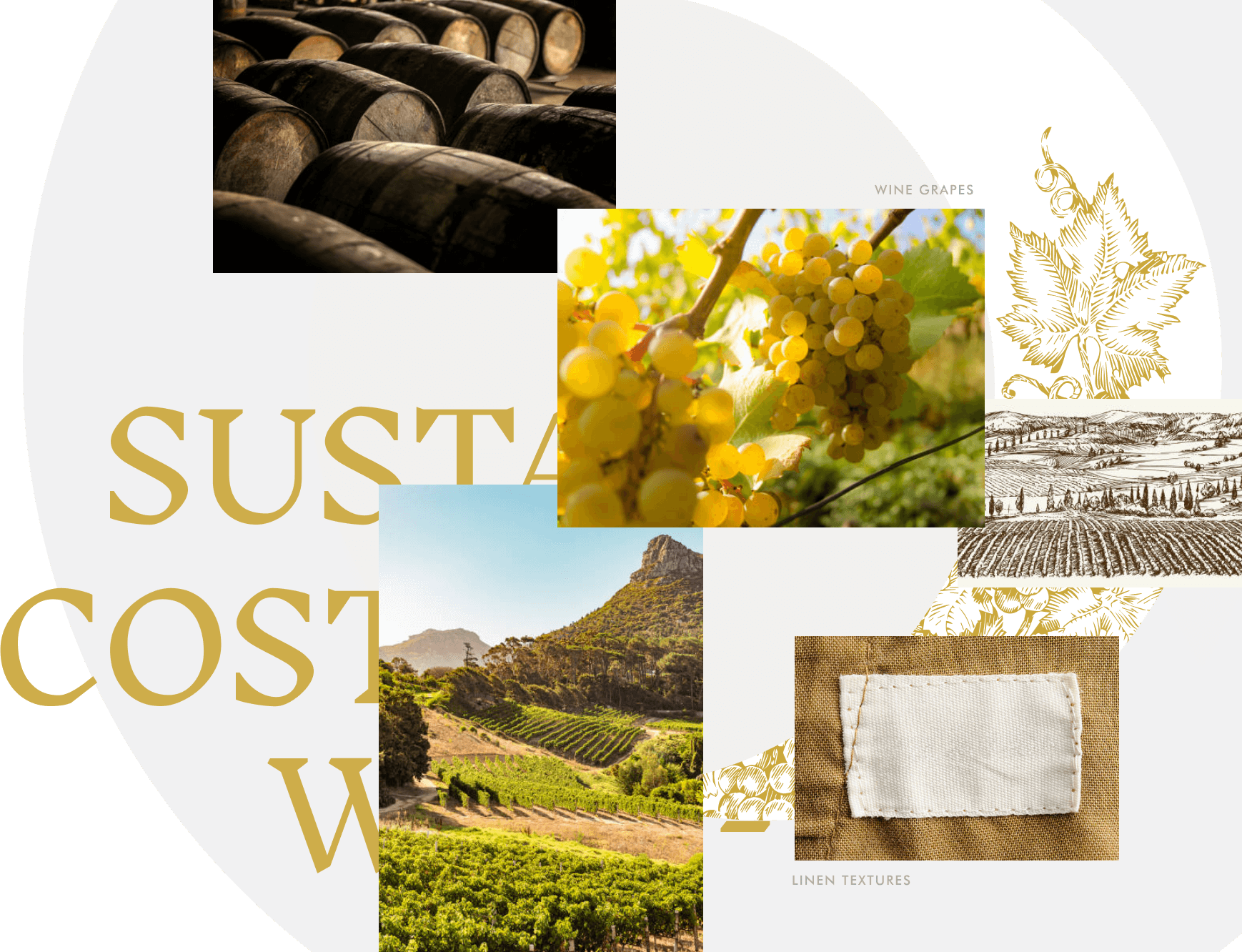 Verre Vert Case Study | Monttilva Web Design