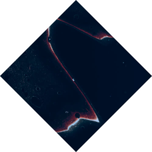 Monarch Caviar | Learn About Our Heritage