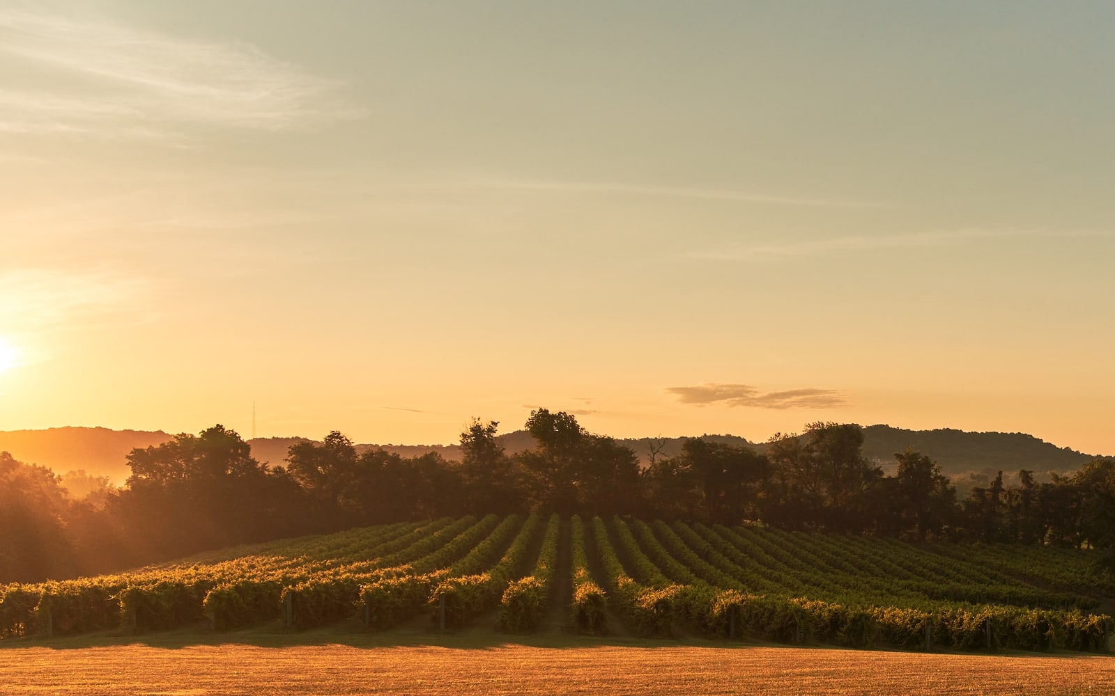 Noboleis Vineyards | Augusta, Missouri Winery & Wine Trail
