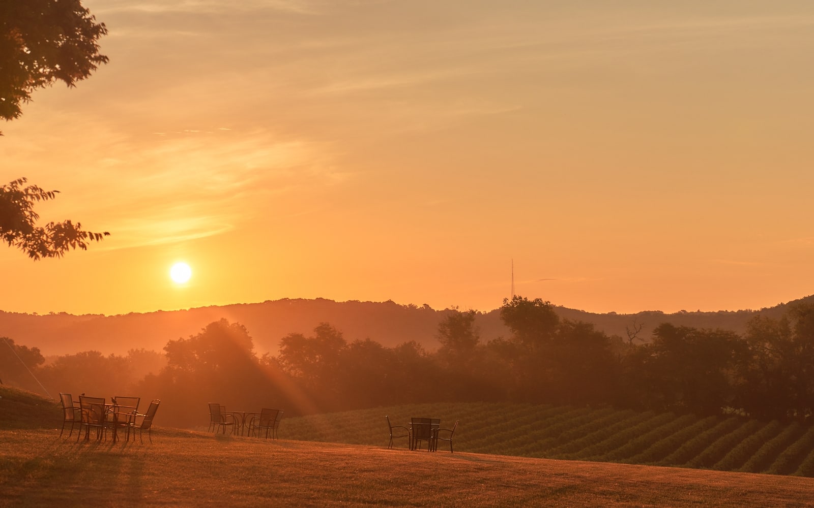 Noboleis Vineyards | Augusta, Missouri Winery & Wine Trail