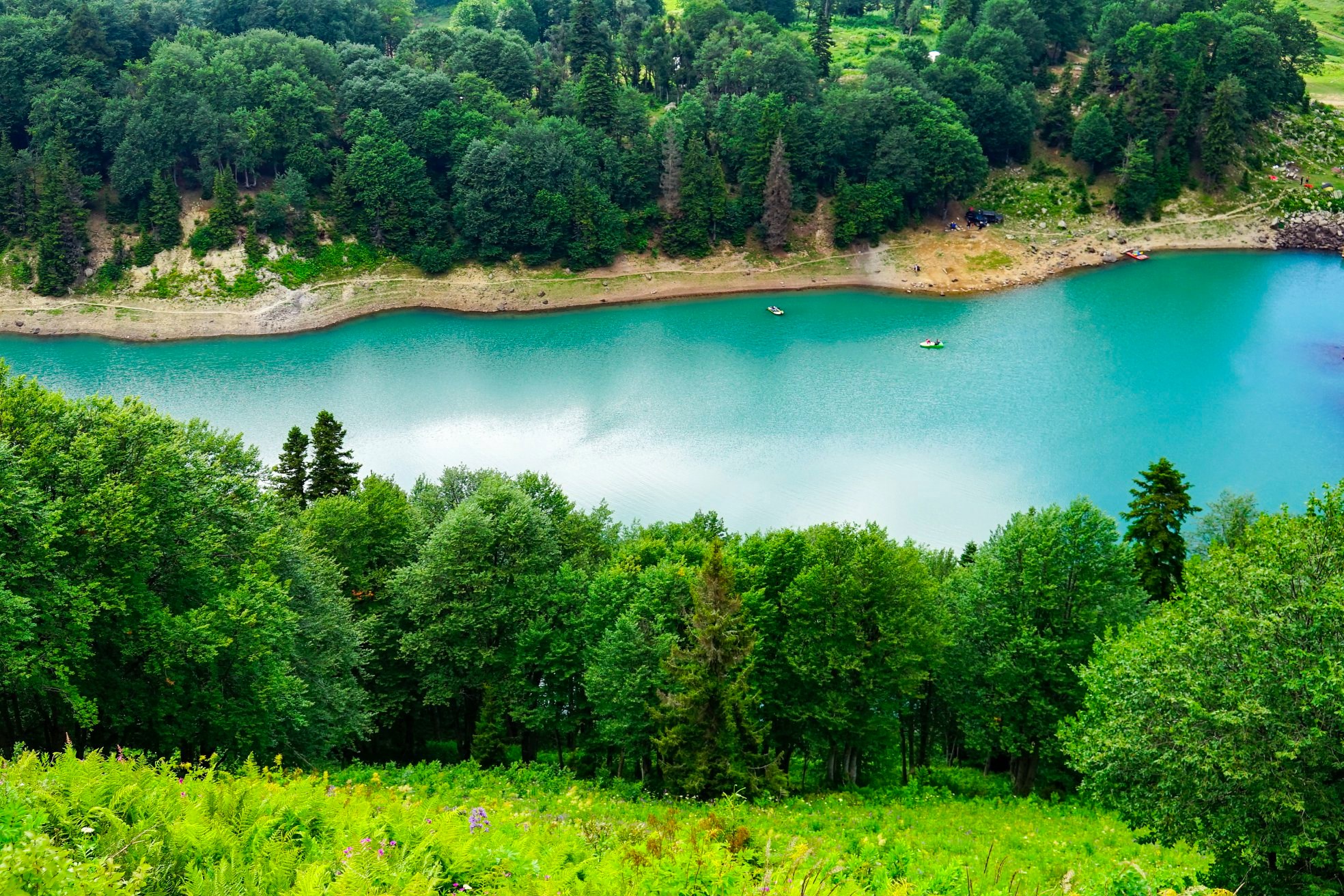 גאורגיה ישראל יזמות נדל״ן בע״מ - Alley Palace