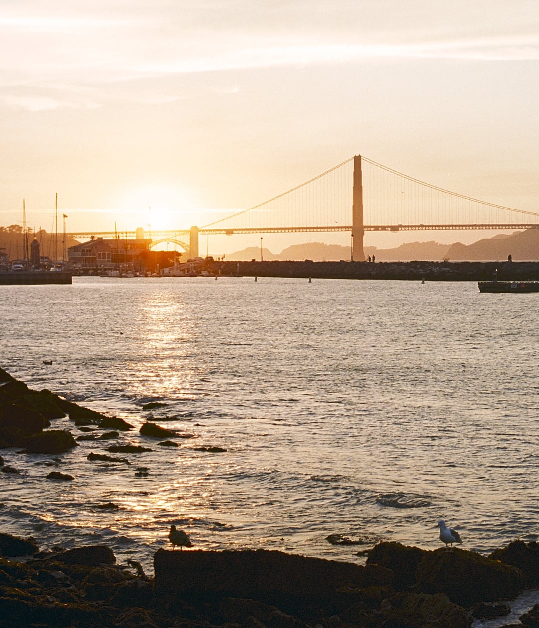 Founders Ai Ultimate Startup Platform