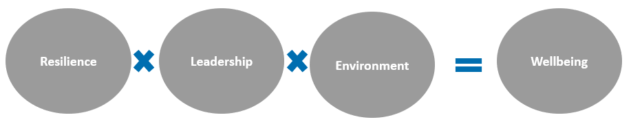 Health & Wellbeing strategy: 10 step model - Health Management DC