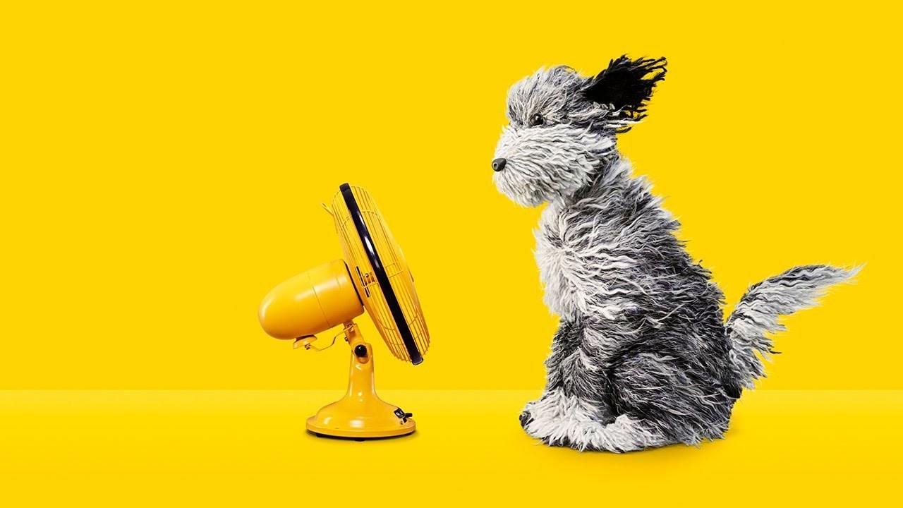 Does the AA’s new brand ambassador stand on its own four paws ...