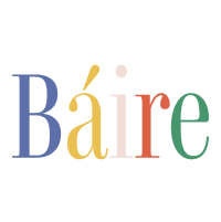 Tyler Barry - Webflow