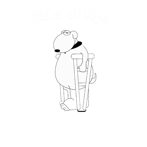 Neux Technologies: The Future of Human Performance