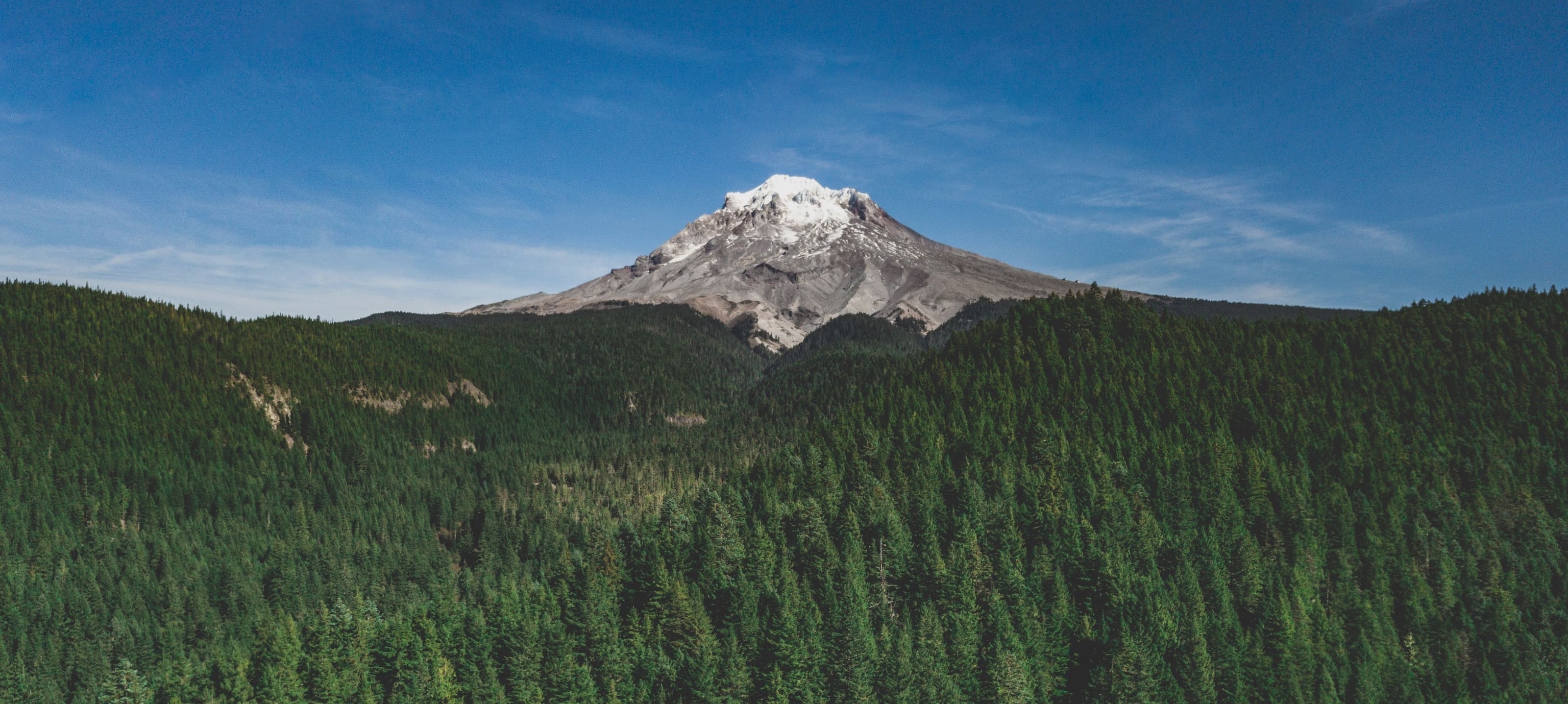 60 Tech Companies Hiring in the Silicon Forest | The Silicon Forest