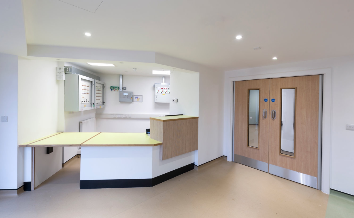 Cheesmur Project - Swandean Hospital
