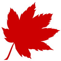 Maple Building Services